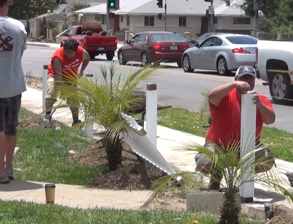 NPHS Strategic Framework - NPHS Inc